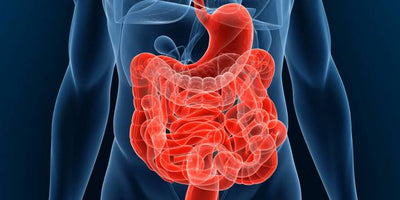 Let’s Talk About The Gooch: The Most Neglected Part of Your Body