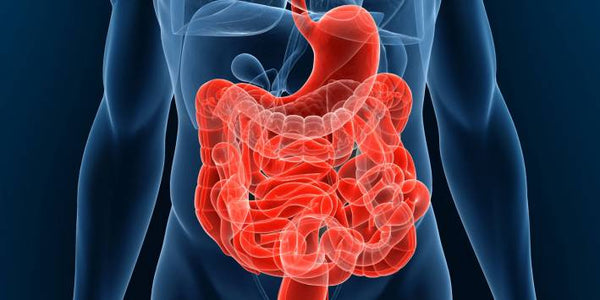 Let’s Talk About The Gooch: The Most Neglected Part of Your Body