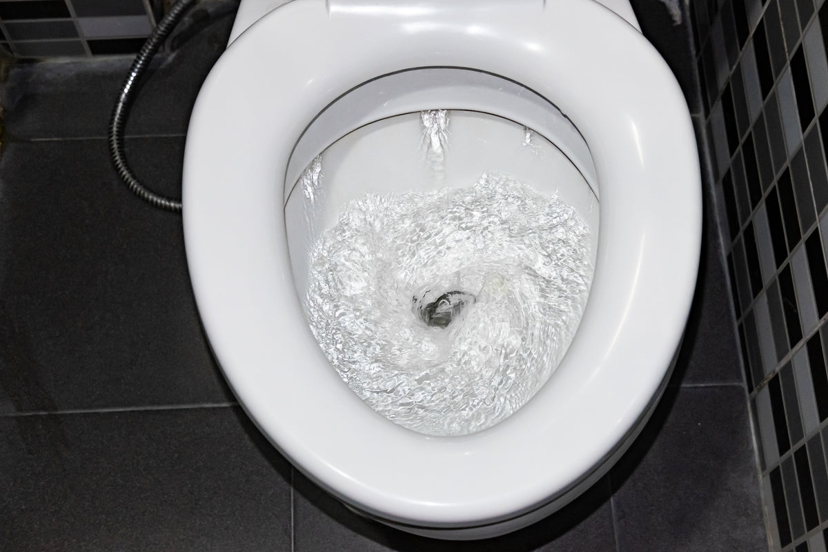 The Enduring Legacy of the ‘Swirly’ Prank
