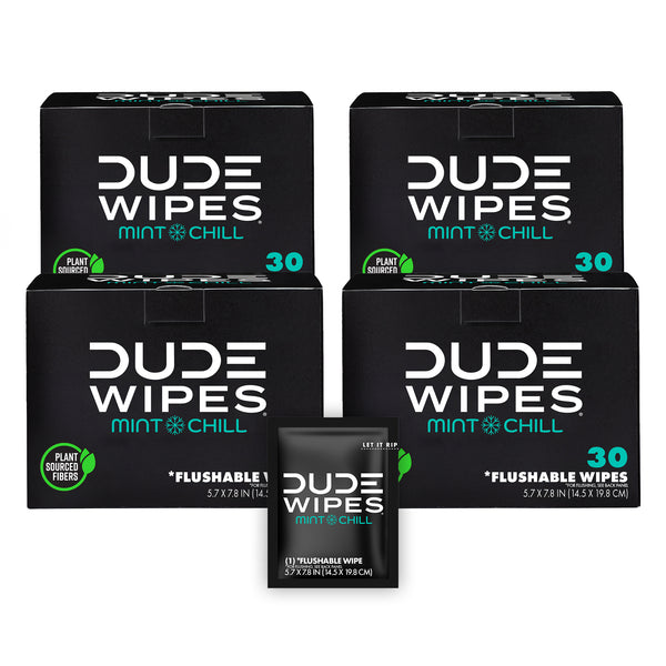 DUDE Wipes On-the-Go Flushable Wipes | Individually Wrapped for Travel